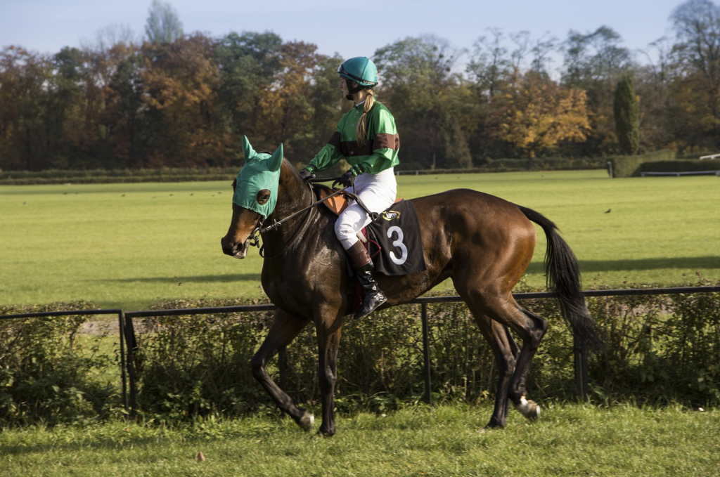 Exploring the Best YouTube Channels for Horse Racing Enthusiasts in ...